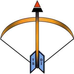 Concept of TDSI Logo - Temasek Defence Systems Institute