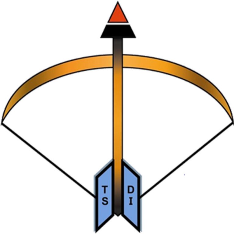 Concept of TDSI Logo - Temasek Defence Systems Institute