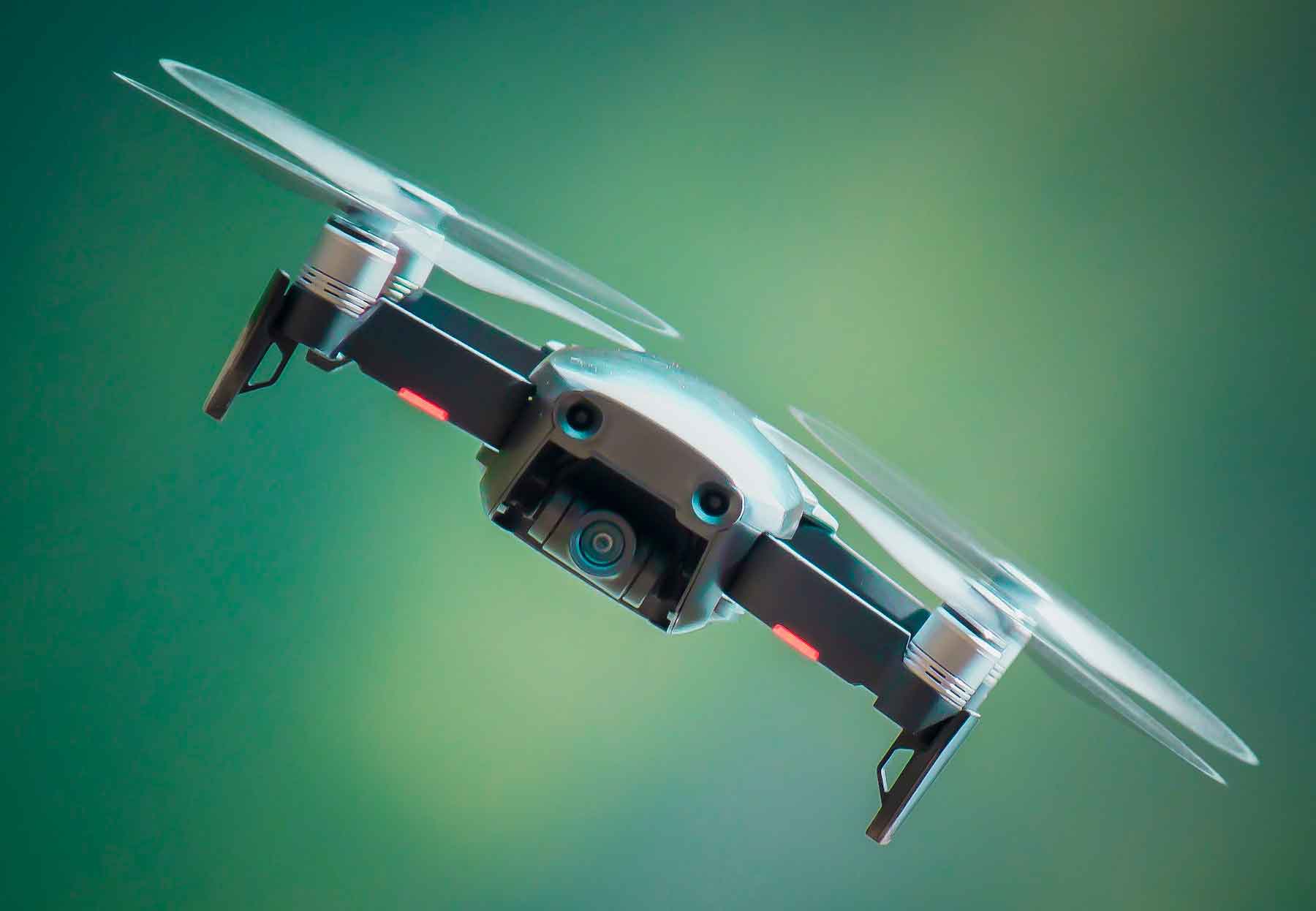 Bio-Inspired Flight and Its Application in Flying Robots - Temasek ...